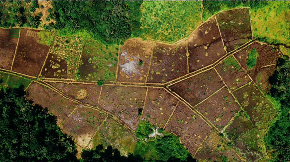 Standardized Zoning: Your Comprehensive Guide to Land Use Regulations