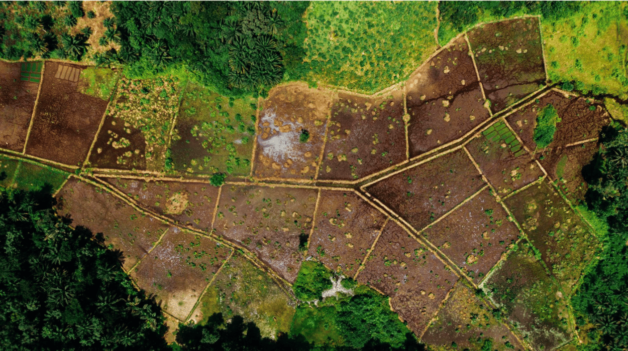 Standardized Zoning: Your Comprehensive Guide to Land Use Regulations